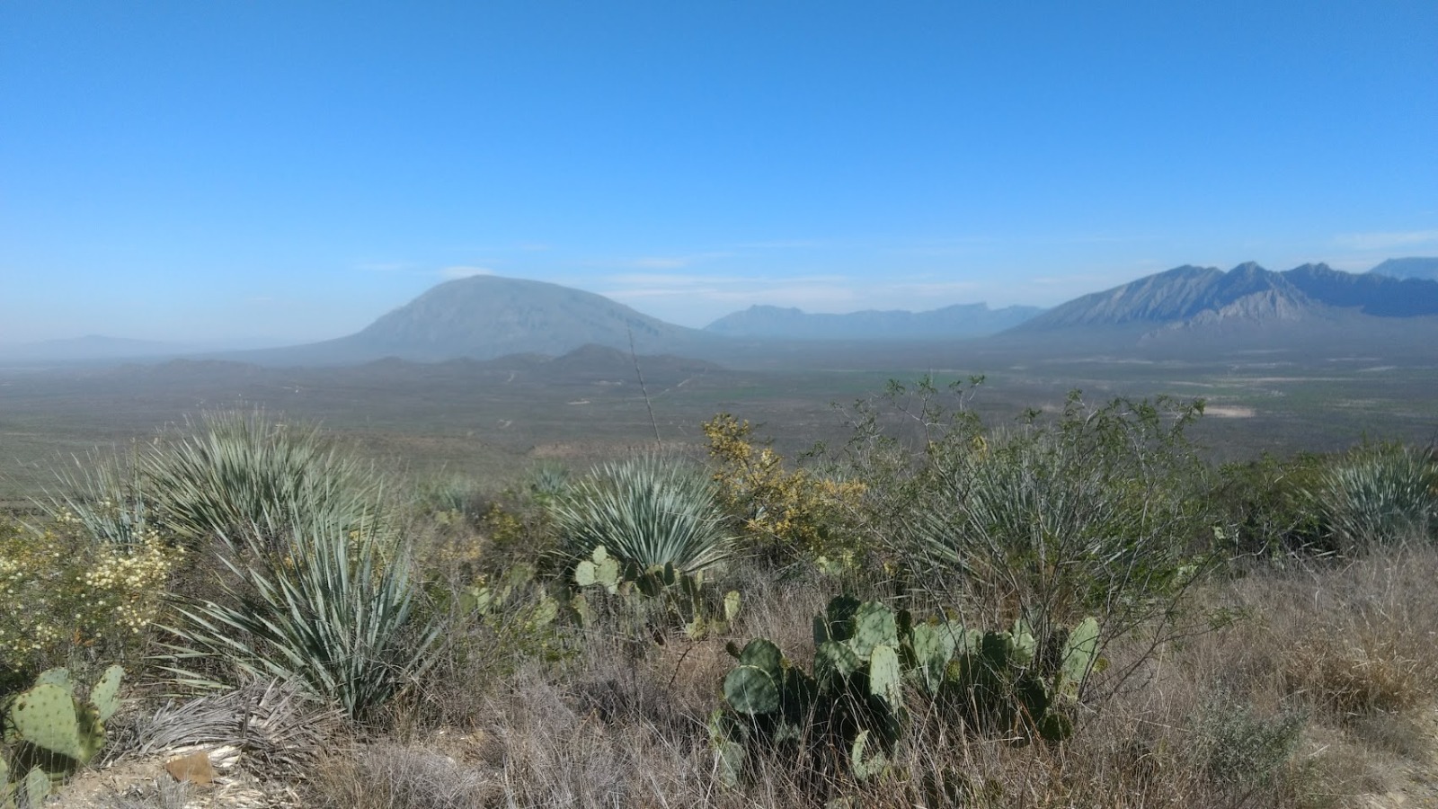 Riqueza biológica de zonas áridas y semiáridas - Secretaría de ...