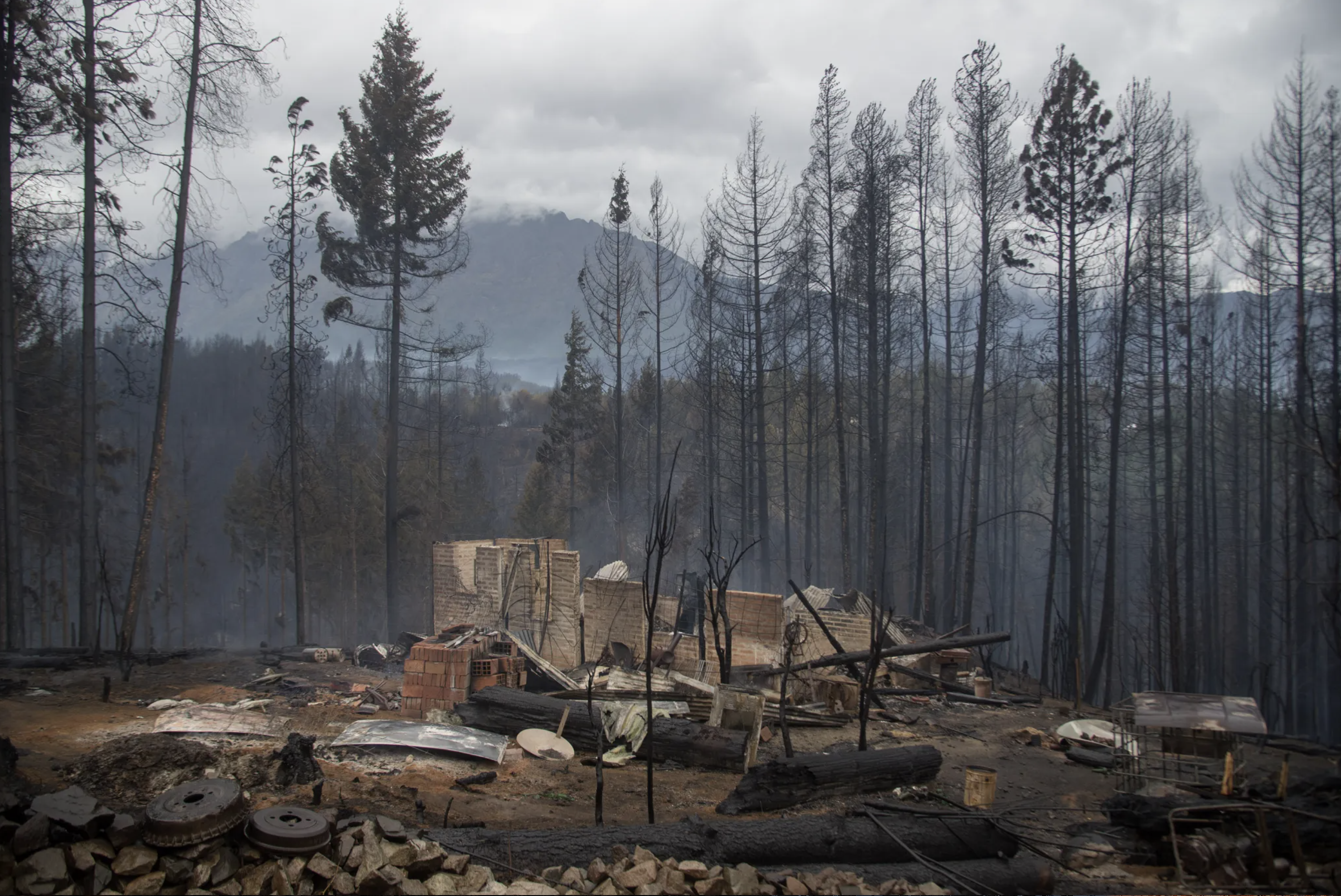 Patagonia en llamas: cuando la acción humana y el cambio climático ...